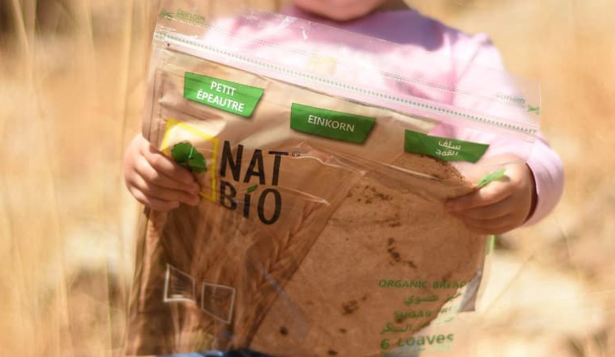 Project: Nat Bio - Melius Consultancy